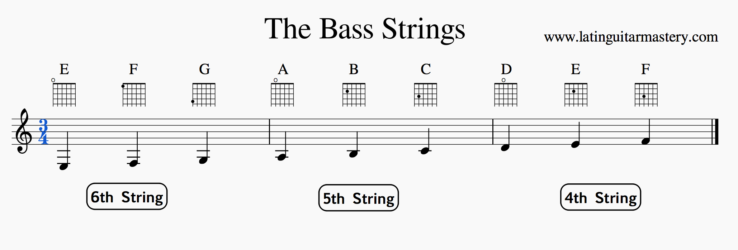 Overview of the Bass Strings – Latin Guitar Mastery